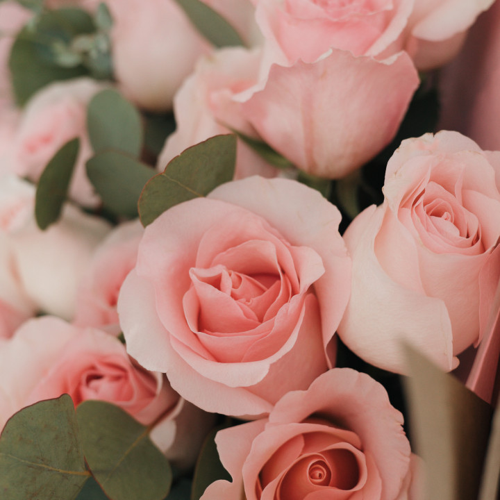 Light Pink Rose Bouquet